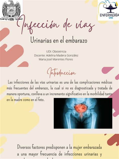 Infecciones Urinarias En El Embarazo Pdf Infección Del Tracto Urinario Vejiga Urinaria