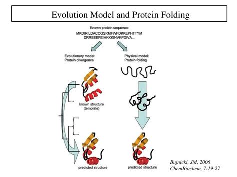 Ppt Tertiary Structure Prediction Powerpoint Presentation Free