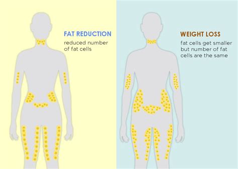 The Difference Between Fat Reduction And Weight Loss