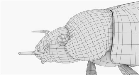 圣甲虫 3D模型 19 blend obj dae fbx Free3D