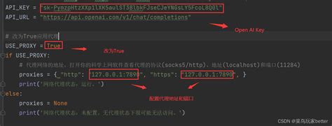 中科大chatgpt学术优化环境配置及部署 中科院chatgpt学术优化 csdn博客