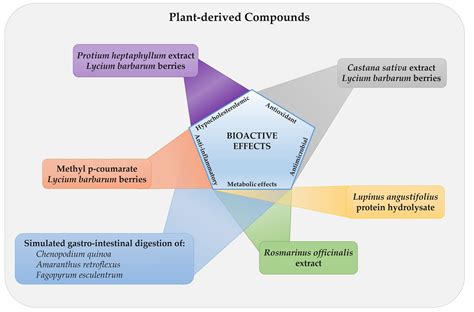 Health Properties Of Plant Bioactive Compounds Immune Antioxidant And Metabolic Effects
