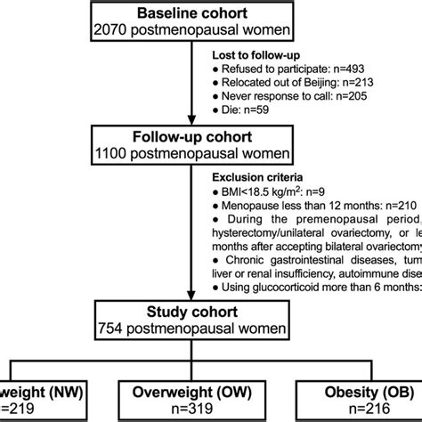 Flow chart NW kg m² BMI Download Scientific Diagram