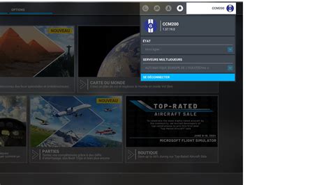 Question On Menu Display User Interface And Activities Microsoft Flight Simulator Forums