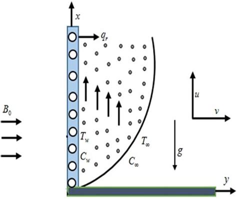 Physical Diagram And Coordinate System⁴² Download Scientific Diagram