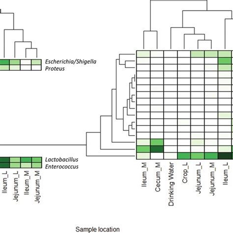 Heatmap Of Euclidean Distances And Relative Abundance Of Prominent
