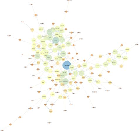 Ppi Diagram Of String Protein Network Visualized By Cytoscape