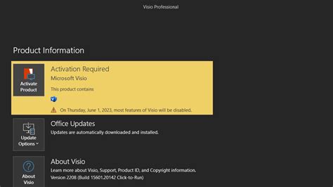 Microsoft Visio Professional 2021 Activation R Piracy