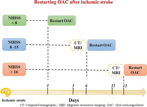 Scheme Of Restarting Oral Anticoagulation After Ischemic Stroke Download Scientific Diagram