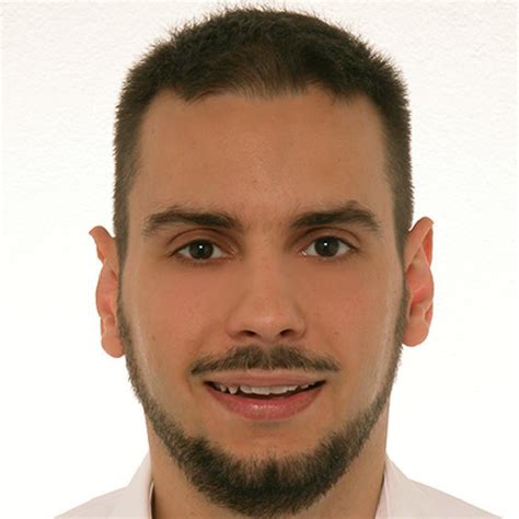 pavle bektasevic senior software entwickler ing deutschland xing