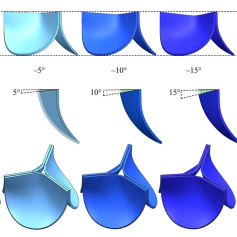 Visualization Of Variants Of The Geometry Of The Leaflet Apparatus Of Download Scientific