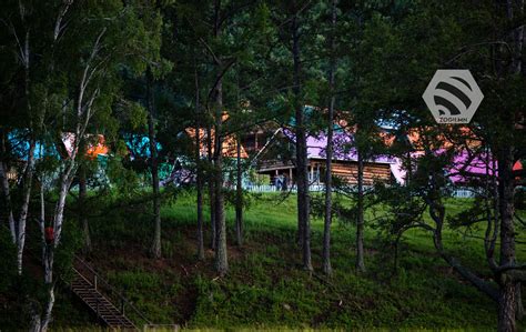 ТАНИЛЦ ЭМД ААР ҮЙЛЧИЛГЭЭ ҮЗҮҮЛЭХ РАШААН СУВИЛЛУУД