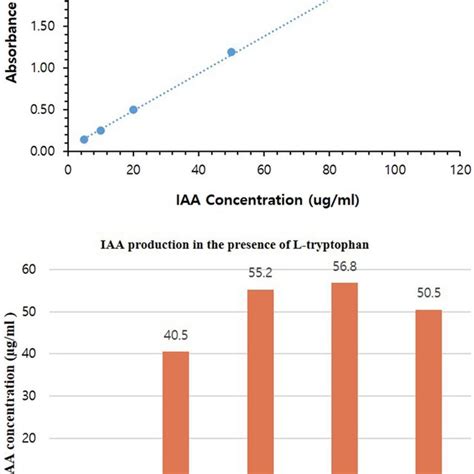 Standard Curve And Graph Of The Test Results On The Production Of Iaa