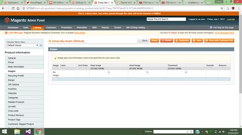 magento 1 9 theme installed on local host isn t showing product