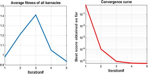 Convergence Behaviours Of The Objective Function And The Average Value