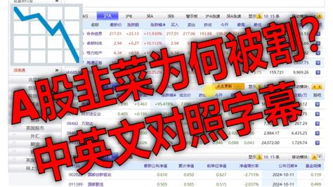 中国股票市场大起大落，韭菜为何被割，a股全解密。投资新手必看：中国a股市场的真实面貌。中国a股市场的波动 ，从投资热潮到市场崩盘。投资者的心路