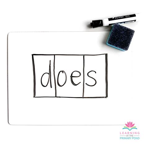 What Is Orthographic Mapping