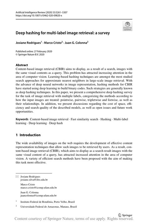 deep hashing for multi label image retrieval a survey request pdf