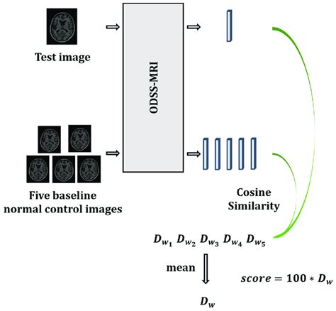 Neurological Function Scoring Means Multiplication Download