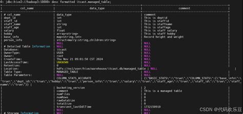 hive的数据库操作和表操作 hiveserver2创建数据库详细步骤 csdn博客