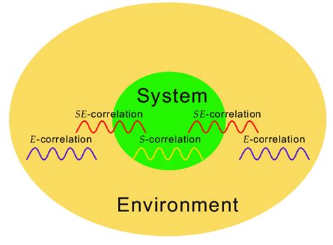 Schematic Of An Open Quantum System With Its Corresponding Correlation