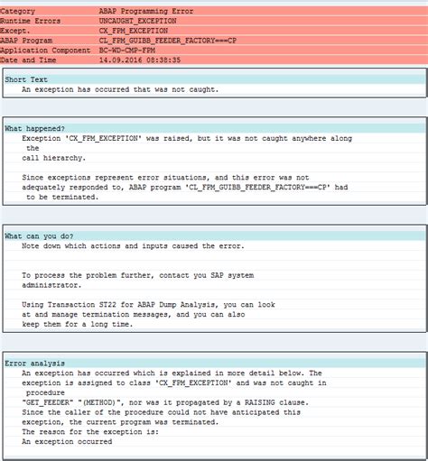Risk Assessment Internal Error Sap Community