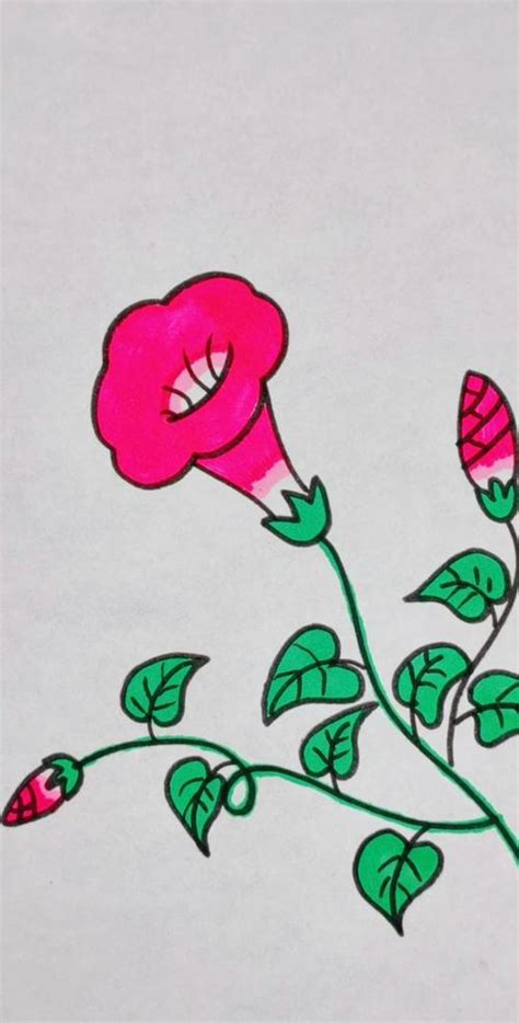 儿童简笔画牵牛花完整的一幅简单（高清10张）简笔画图片大全