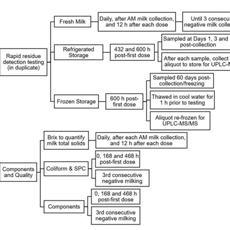 Figure E Overview Of The Milk Sampling Protocol Following Treatment Of