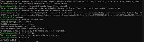 Only Supported On Linux But The Docker Daemon Is Running On · Issue