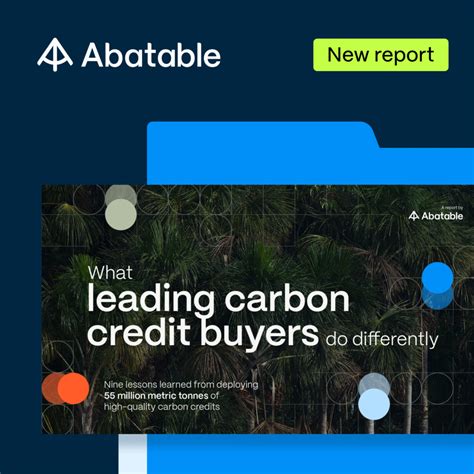 What Are The Ic Vcms Core Carbon Principles • Abatable