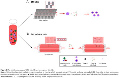 Is Small Smarter Nanomaterial Based Detection And Elimination Of Circ