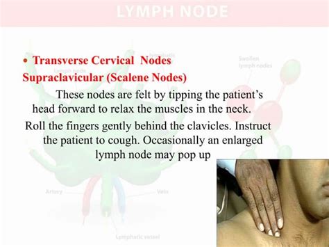 Examination Of Lymph Nodepptx