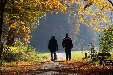 Why Time In A Garden Can Make You Feel Good Thrive