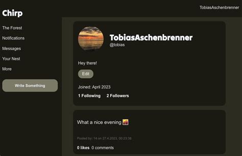 Github Tobiasaschenbrennertwitter Clone Frontend