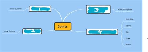 Joint Rolling Flashcards Quizlet