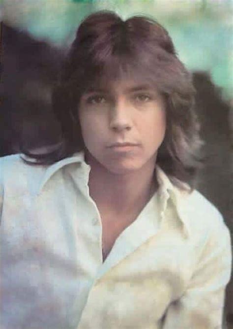 David Cassidy David Cassidy David Donny Osmond
