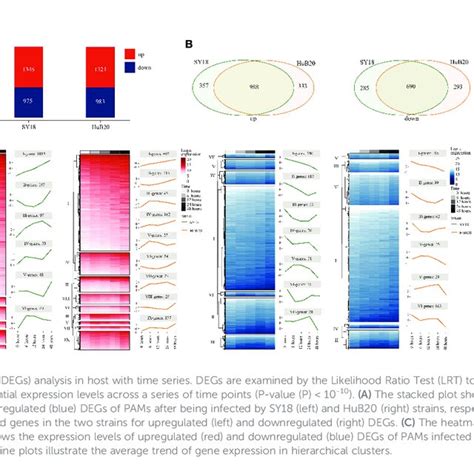 Expression Analysis And Functional Classification Of Asfv Genes A