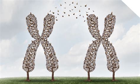 Detecting Recombination Events To Help Determine Intervention Strategies