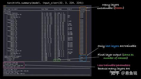 Pytorch 迁移学习 知乎