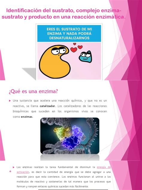 Identificación Del Sustrato Complejo Enzima Sustrato Y Producto Pdf