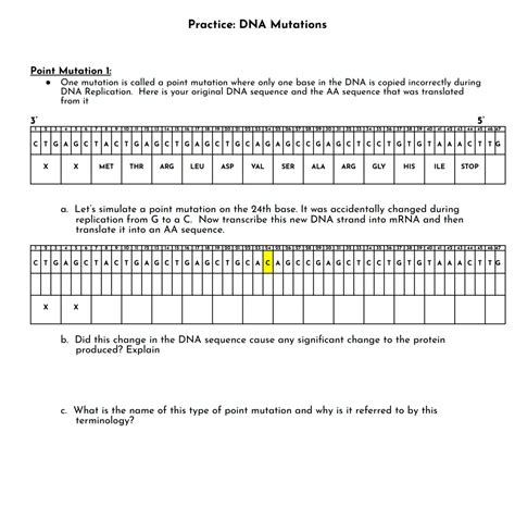 Solved Practice Dna Mutationspoint Mutation 1 One Mutation