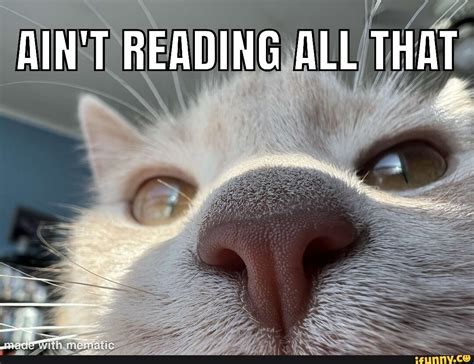 Aint Reading All That Ifunny
