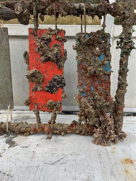 Scientist Spotlight Tmsi