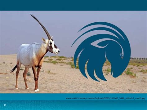 Cloudera Federal Forum 2014 The Evolution Of Machine Learning From Science To Software Ppt