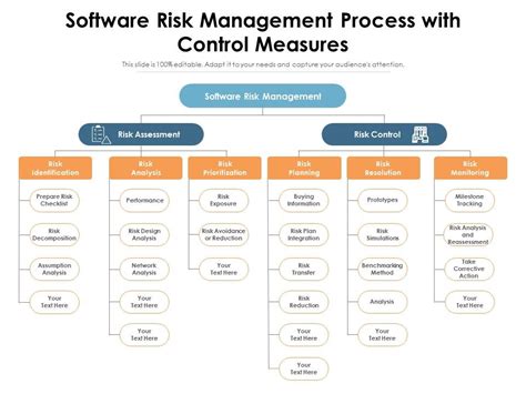 Software Risk Management Process With Control Measures Presentation