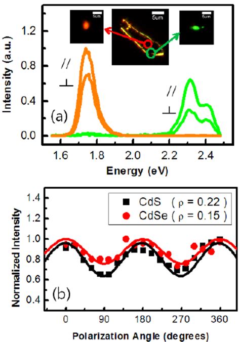 A Sem Image Of The Cds Cdse Lateral Heterostructure Nanosheet B Download Scientific