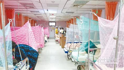 台南登革热日激增100多病例 1天确诊5婴儿人心惶惶台湾万象中国台湾网