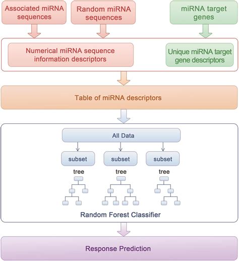 Mirna In Machine Learning Based Diagnostics Of Cancers