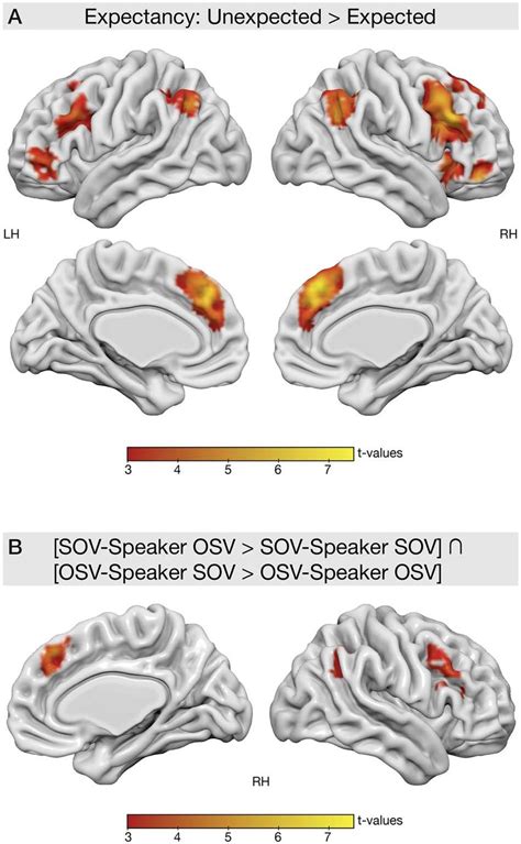 A Interaction Effect Of Expectancy The Syntactic Structure That Was