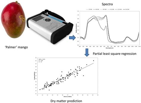 How To Use Mango Harvest Maturity Indices To Improve Quality